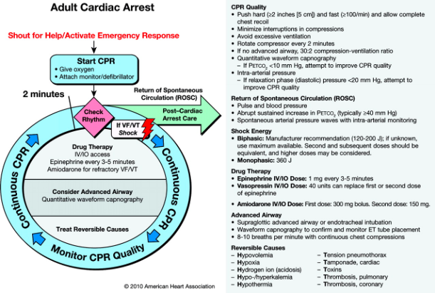 Resuscitation and Fluids – Critical Care Northampton